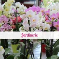 Accueil - Art Fleurs et Jardins - Saint Magne de Castillon